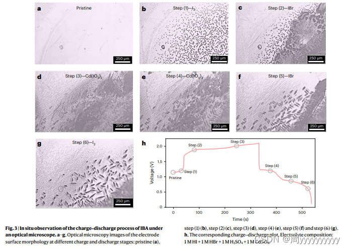 Nature 子刊丨可逆多电子转移I−/ IO3−由异卤素使能的阴极高能量密度电解液水电池-CSDN博客