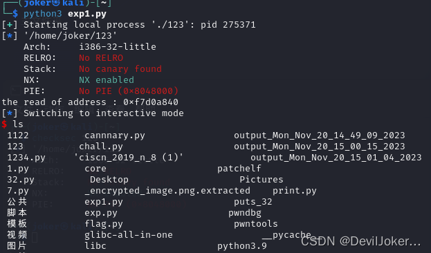 关于ret2libc 的泄露 puts(64位)+write(32位）_ret2libc puts-CSDN博客