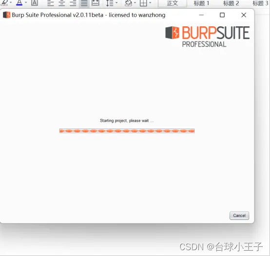 burp suite安装-CSDN博客