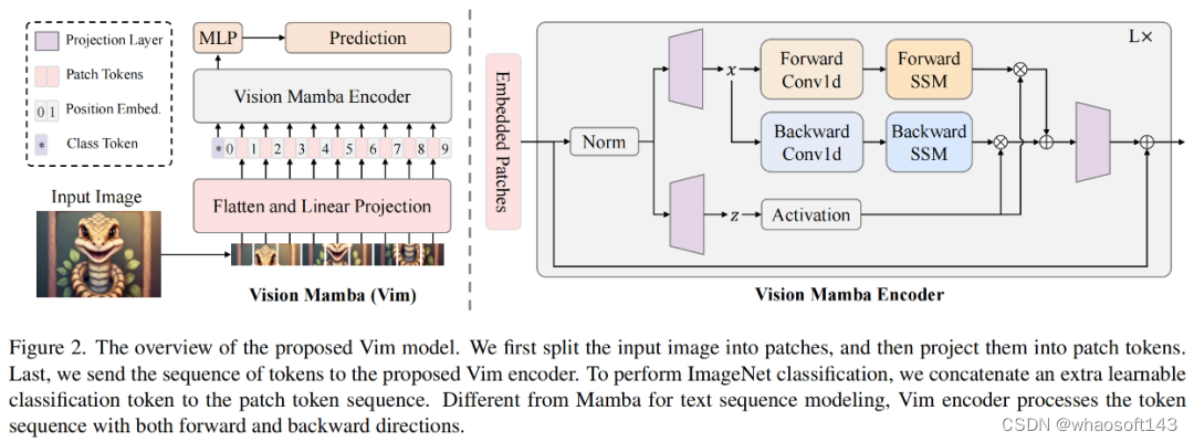 Vision Mamba_vision mamba csdn-CSDN博客