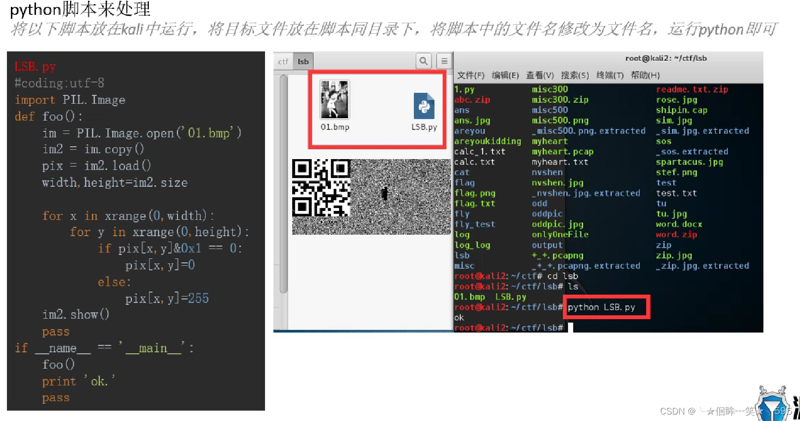 文件隐写(CTF隐写)_ctf txt文件隐写-CSDN博客