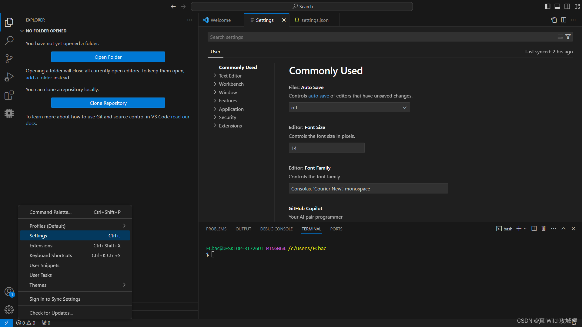 【ARM】VSCode配置git bash为默认终端_vscode终端选择bash-CSDN博客