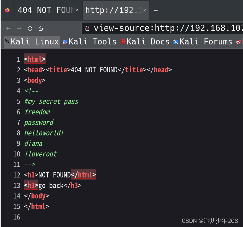 vulnhub-1：Dina_csdn dina-CSDN博客