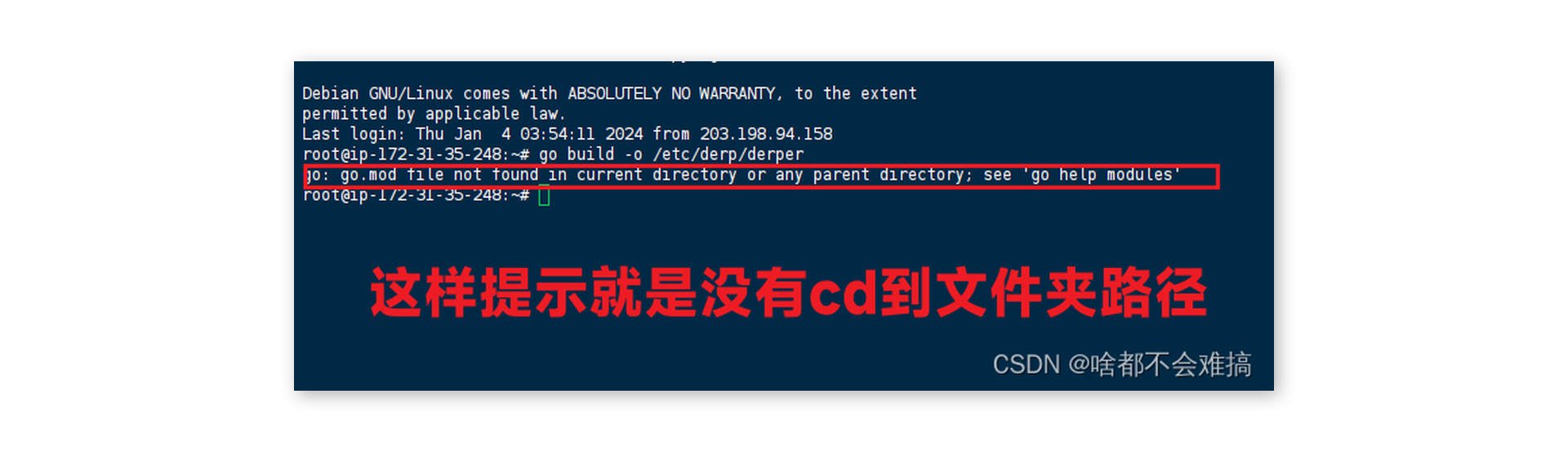 【傻呱呱】Tailscale 搭建derp中继节点（无需域名）_tailscale derp-CSDN博客