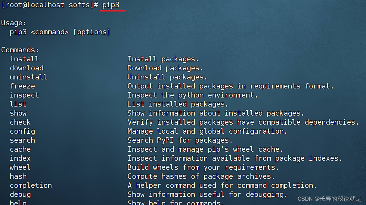 Linux系统一键安装python3和pip3_linux安装python解释器-CSDN博客