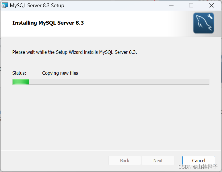 MySQL安装及配置之Windows版_windowsmysql安装配置教程-CSDN博客