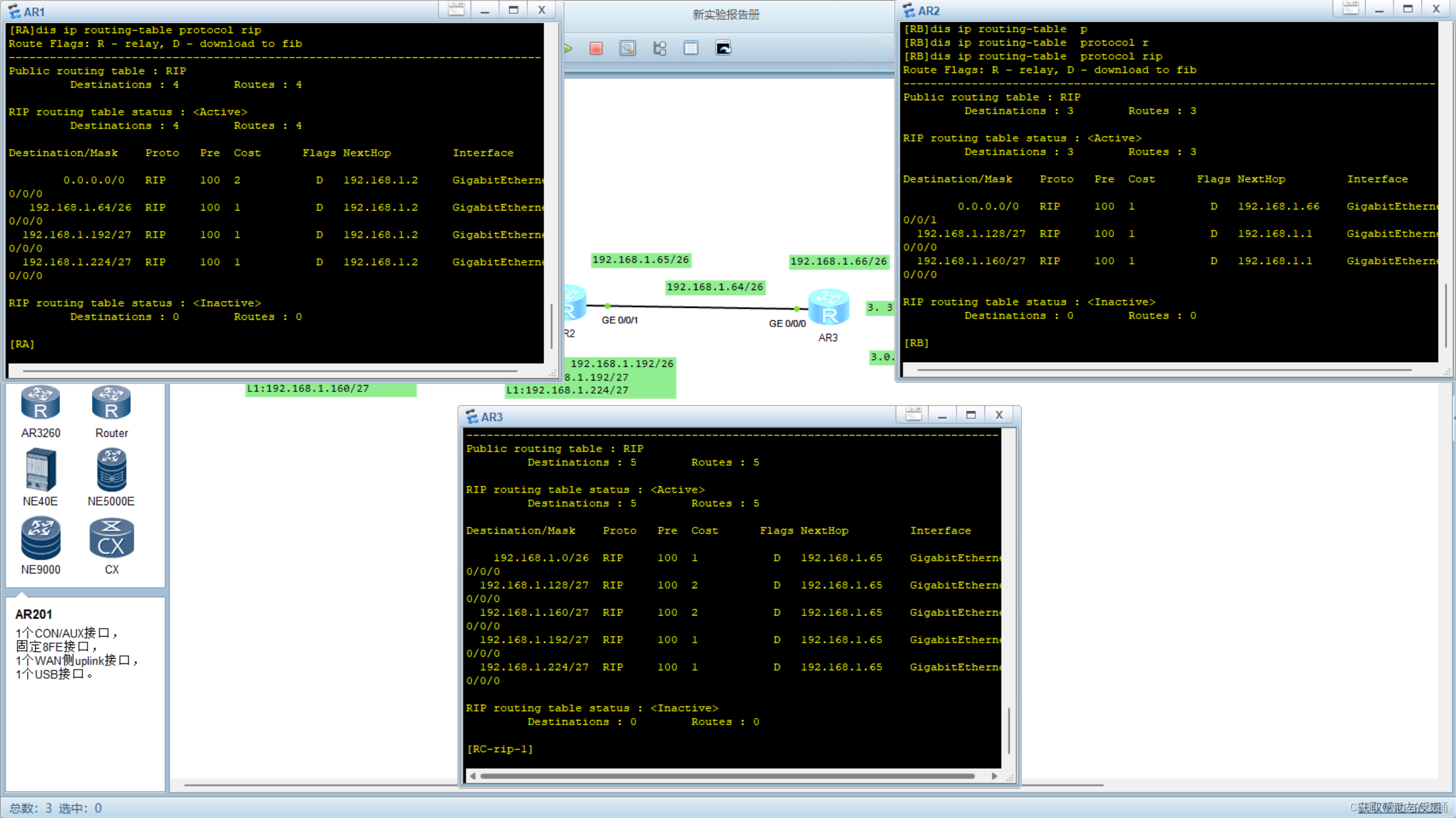 动态路由实验报告-CSDN博客