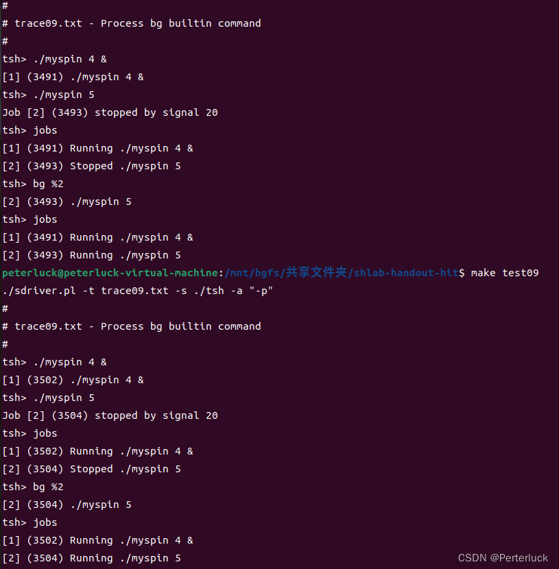一文读懂CSAPP shell 微壳实验_csapp tinyshell-CSDN博客