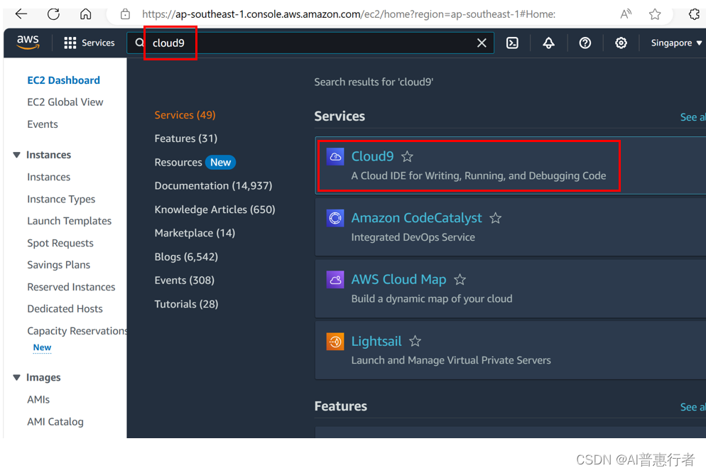 aws入门实践-Cloud9的安装和使用_aws 安装-CSDN博客