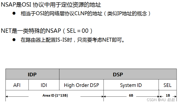 1.3 IS-IS地址结构_nsap 组成、-CSDN博客