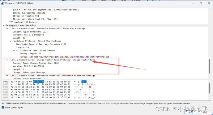 （记得关注哦）对传输层安全 TLS（Transport Layer Security）协议最新版进行分析。-CSDN博客