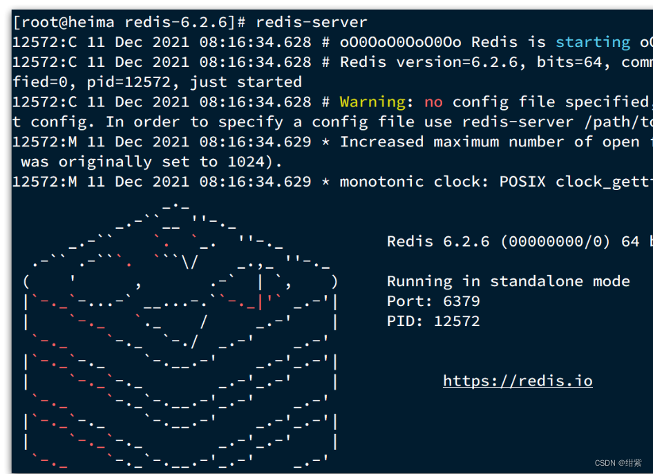 保姆级，一条龙服务的Redis安装说明-CSDN博客