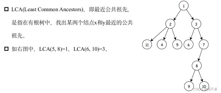 LCA和树上差分【2024蓝桥杯0基础】-学习笔记_lca树上差分-CSDN博客