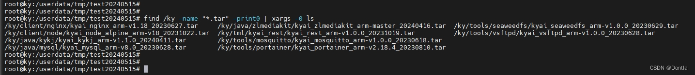 文件过多无法输出，Linux ls命令的坑！（/usr/bin/ls: Argument list too long）（解决办法：使用find命令、使用xargs）（ls报错）_ls ...