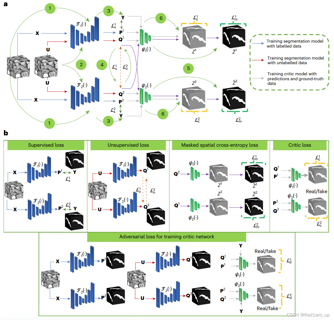 Uncertainty-guided dual-views for semi-supervised volumetric medical image segmentation-CSDN博客