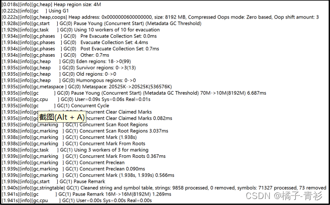 JVM工作原理与实战(三十三)：监控GC过程的工具