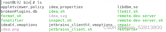 CentOS安装idea-CSDN博客