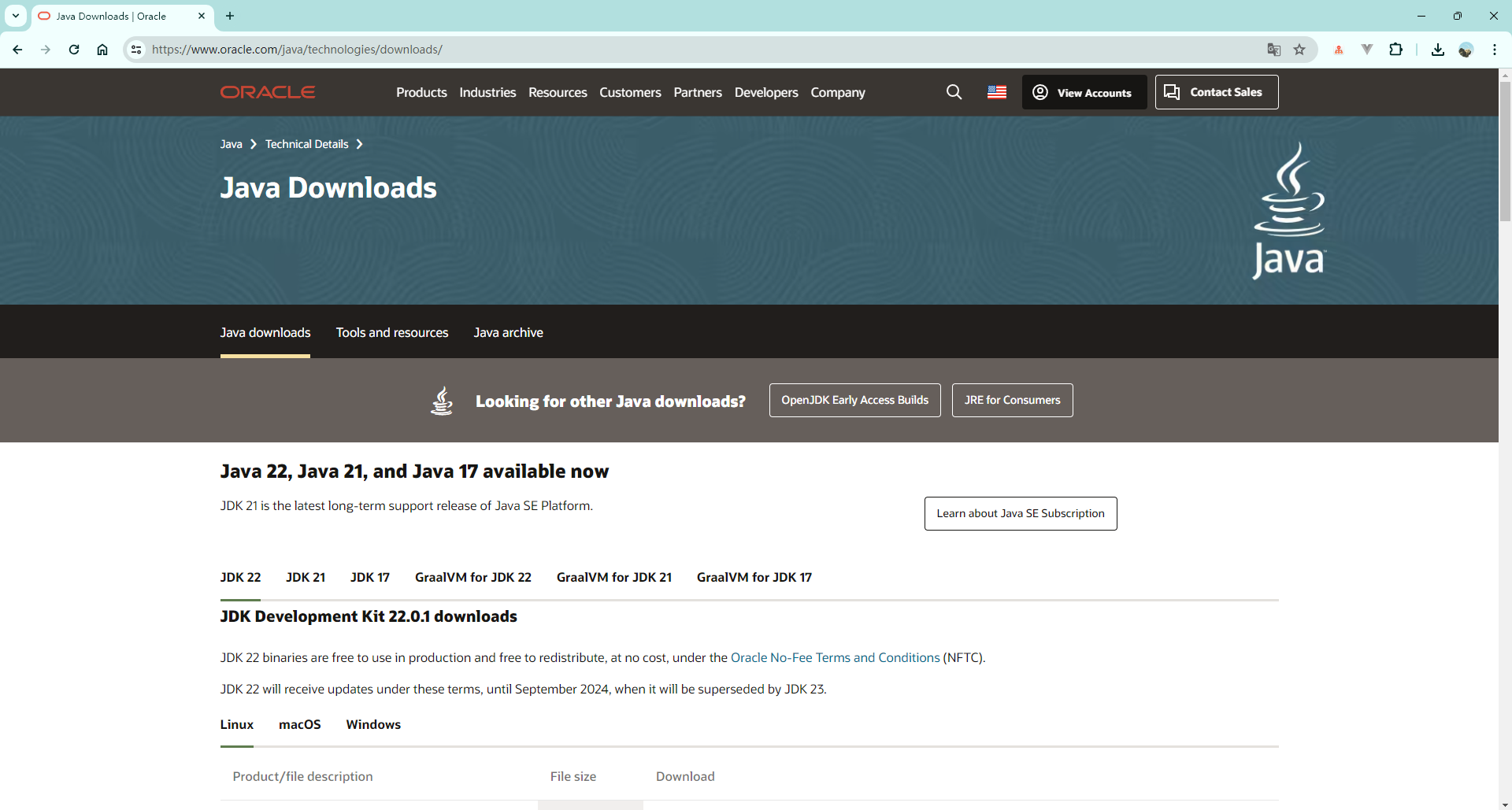 【2024最新】JDK安装 + IDEA配置一条龙_idea2024配置jdk-CSDN博客