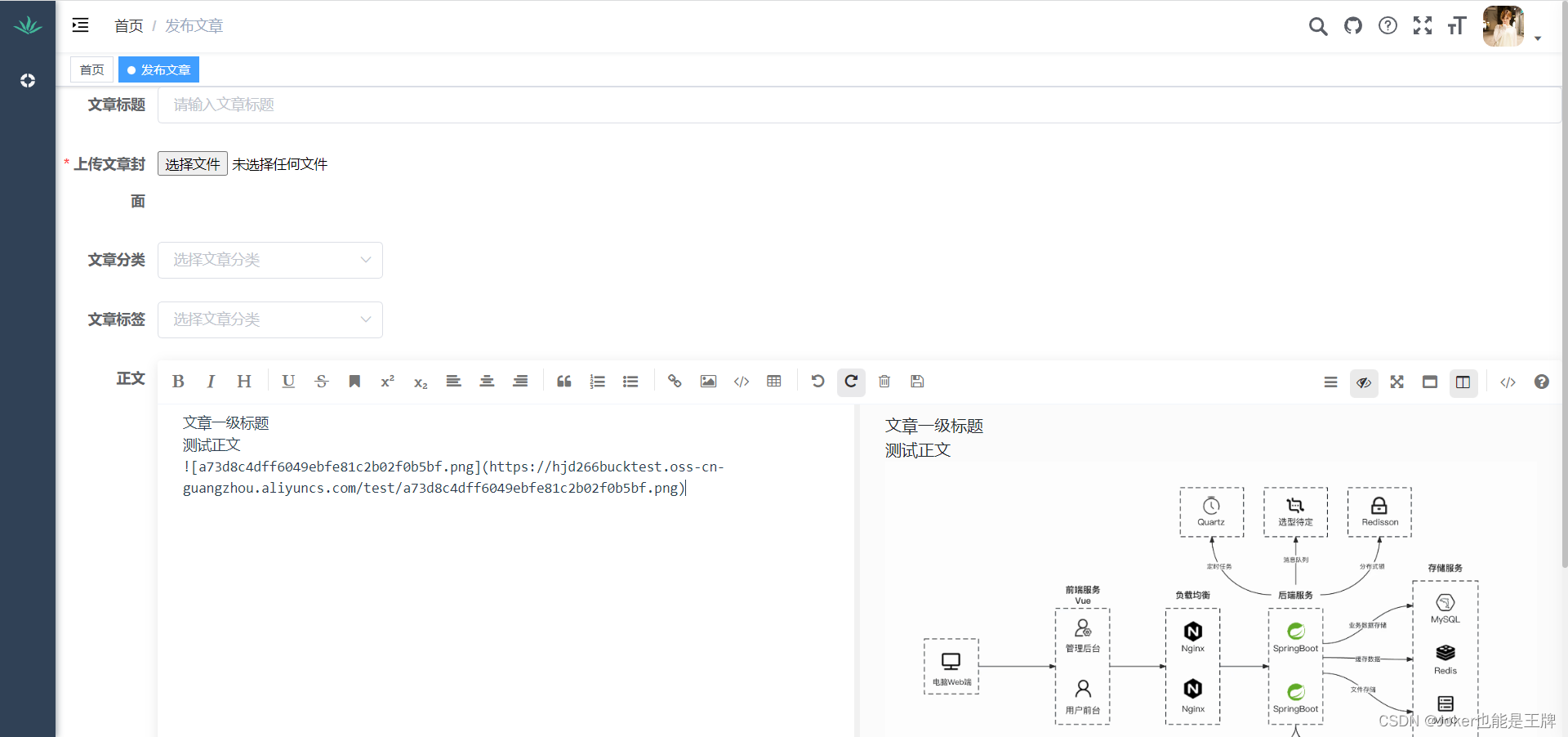 个人博客项目(springvue)整合富文本编辑器(markdown)springbootvue整合markdown Csdn博客