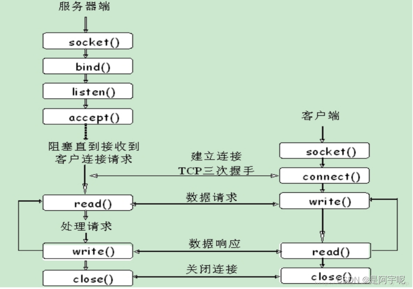 Tcp 套接字编程基于socket的tcp通信中用到的系统函数有socket Bind Listen Csdn博客