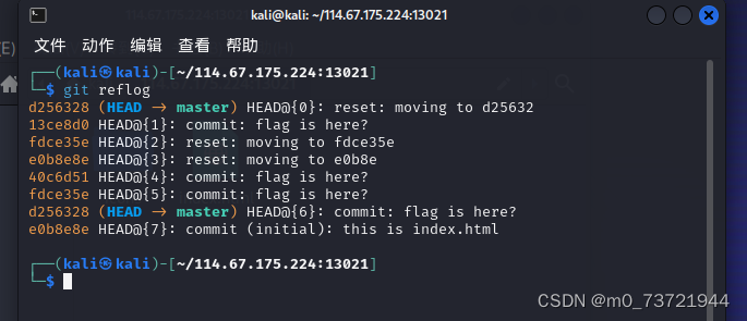 bugku source_我哥说渗透我只用linux环境-CSDN博客