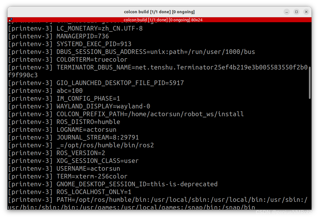 (ros2)launch文件设置bash环境变量，并且执行bash命令演示_launch文件演示-CSDN博客