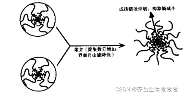 PLGA纳米粒子包DOX表面修饰NGR/CY3 (GGCNGRC),表面修饰CY5.5/CY3.5/CY7/CY5-CSDN博客