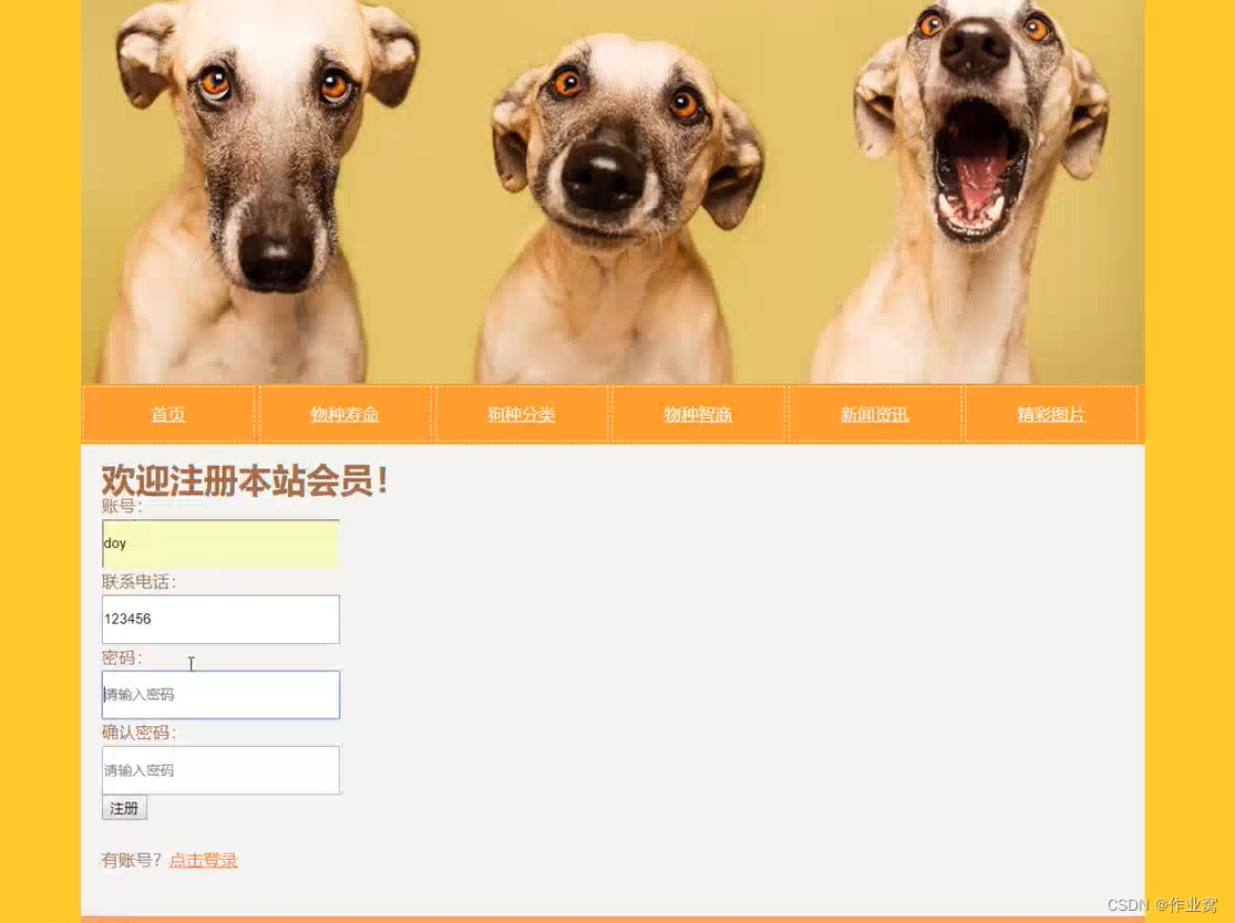 Phpmysql宠物主题动态网页设计源码数据库，大学生期末大作业，php课程设计phpmysql网站设计源码 Csdn博客