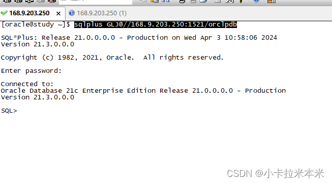 Linux 安装oracle 21c_linux kmod-libs-20-21-CSDN博客