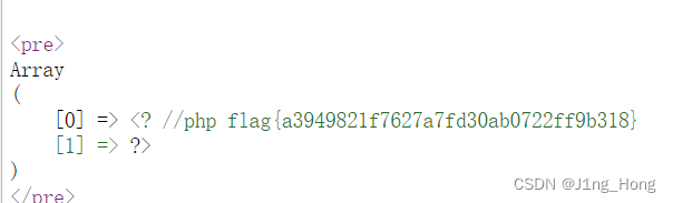 PolarD&N-CTF-web方向-简单_ctf don'ttouchme-CSDN博客