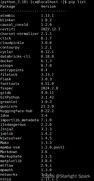 Ubuntu20.04下成功安装Mamba的运行环境_ubuntu安装mamba-CSDN博客