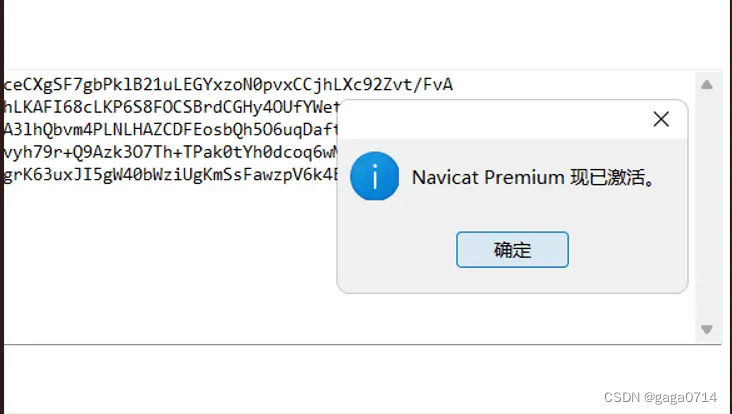 Navicat Premium 16.1版本下载安装（全）_navicat16.1下载-CSDN博客