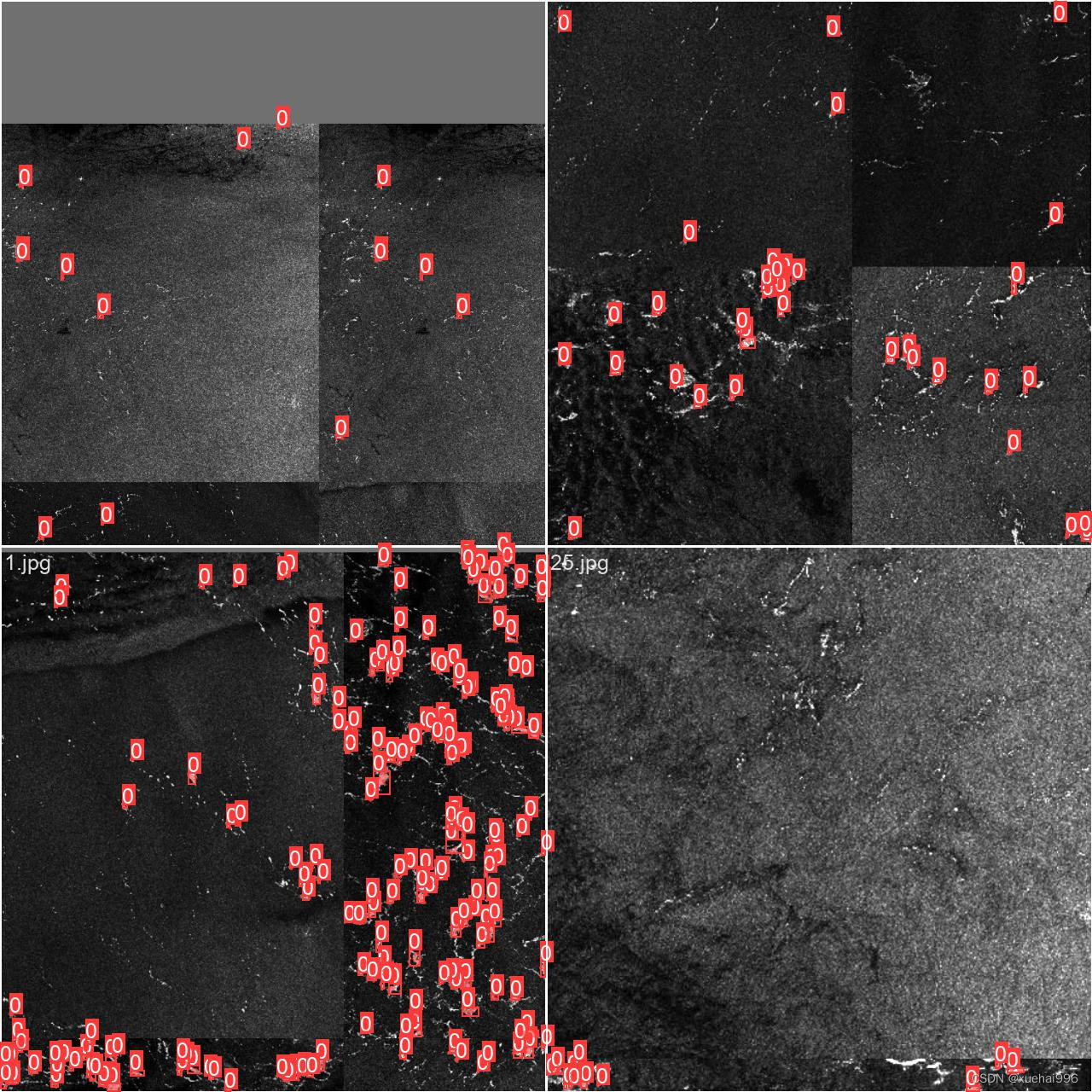 【精选】重参数结构DiverseBranchBlock改进YOLO的遥感苔藓分割系统-CSDN博客