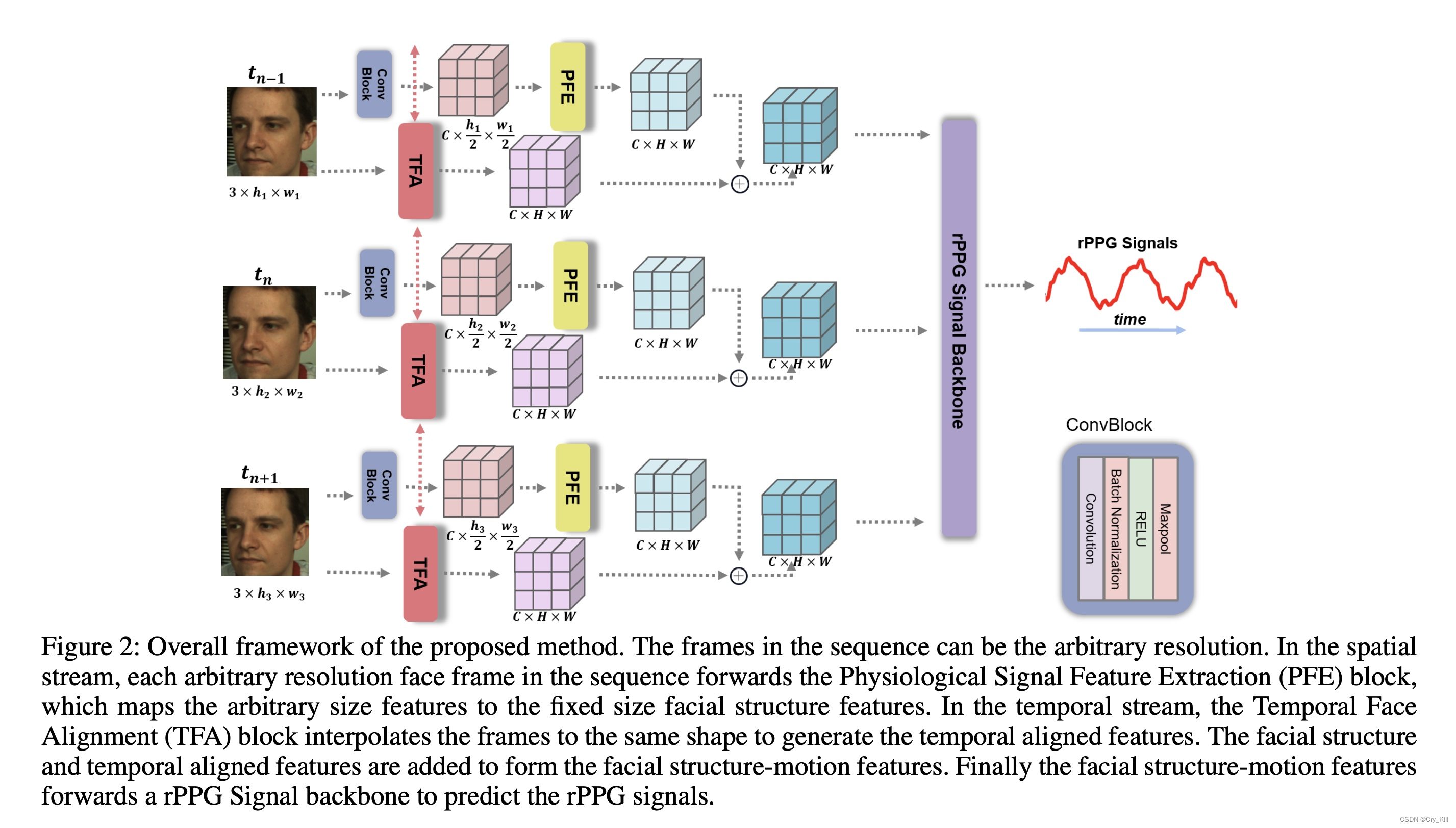 Learning_Motion-Robust_Remote_Photoplethysmography_through_Arbitrary ...