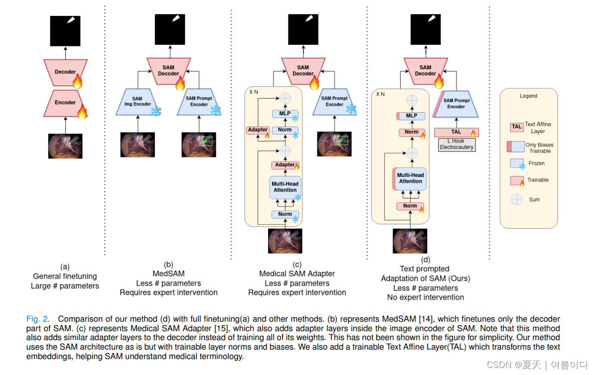 CV | SAM在医学影像上的模型调研【20240223更新版】_medsam 2024-CSDN博客
