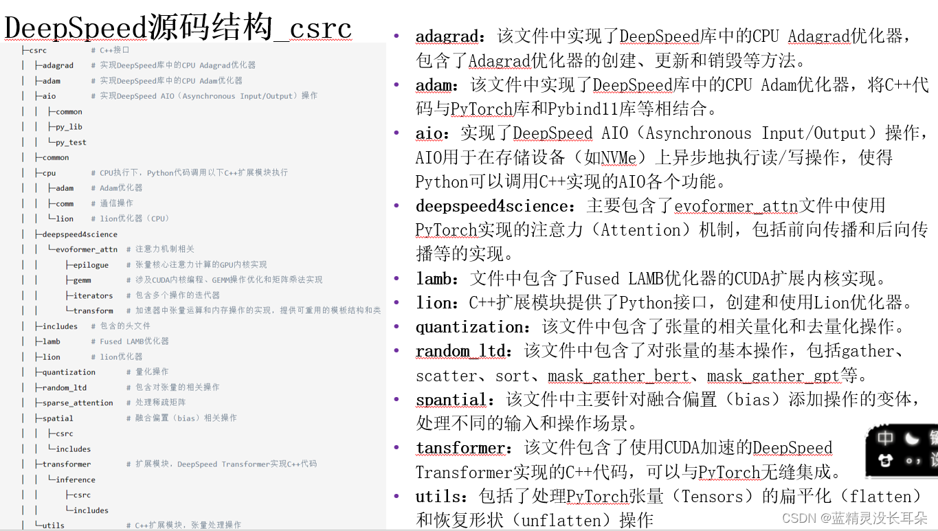 DeepSpeed源码结构-CSDN博客