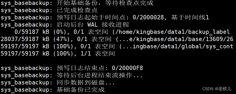 人大金仓 Kingbase命令行基础部署+主从_kingbase 主从复制-CSDN博客