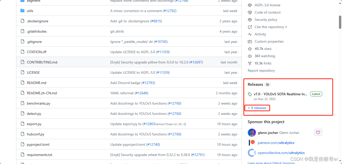 Yolov5环境配置_怎么查看yolov5的版本-CSDN博客