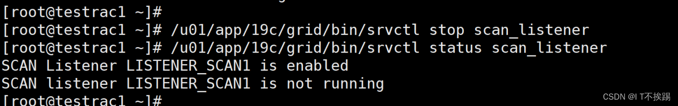Oracle 19C RAC IPv6改造（IPv4+IPv6双栈配置）_oracle ipv6 访问-CSDN博客