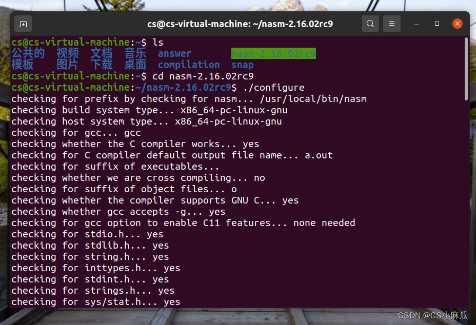 Linux下NASM环境配置_linux nasm-CSDN博客