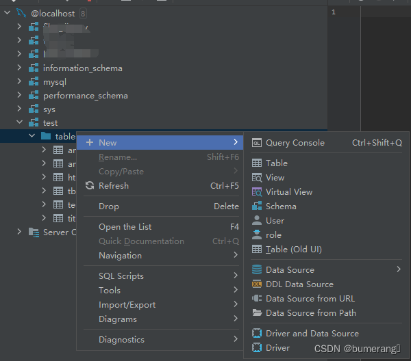 Datagrip使用入门 导出数据（四） （使用datagrip连接sql） 编程库