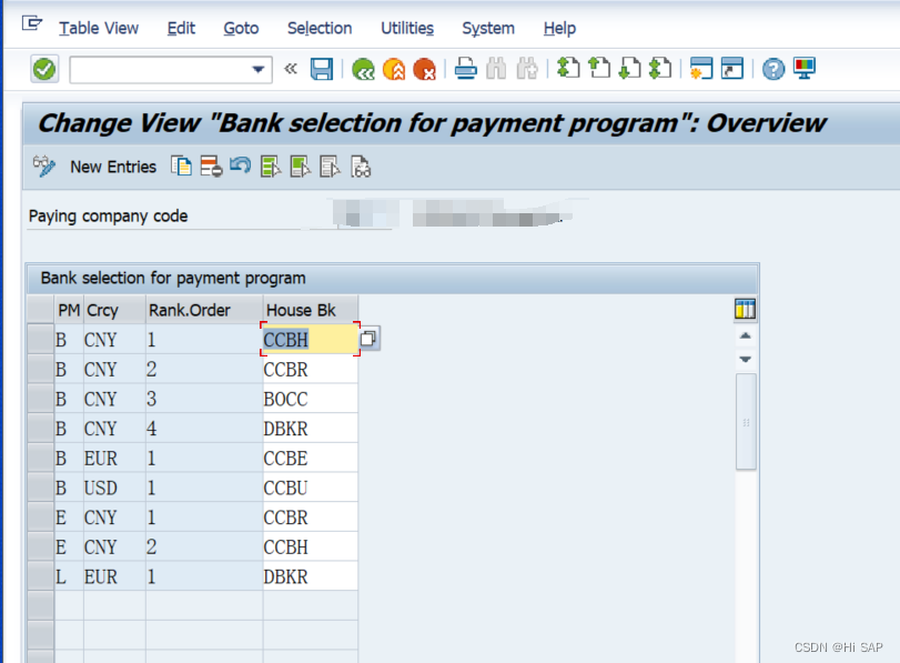 F110 Payment Run如何更改付款银行_sap f110运行付款标识,怎么修改银行-CSDN博客