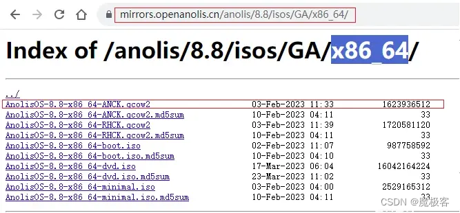 第一节 龙晰 Anolis OS 8.8 KVM 虚拟机的创建_anolisos安装kvm并创建虚拟机-CSDN博客