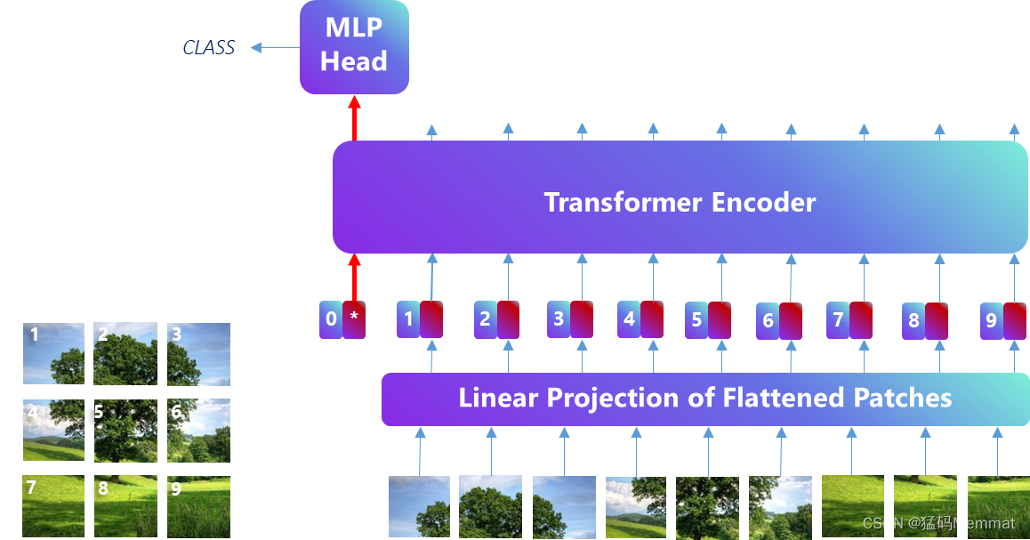 【36k字】从Attention讲解Transformer及其在Vision中的应用（附pytorch代码）_transformer visualizer 使用-CSDN博客