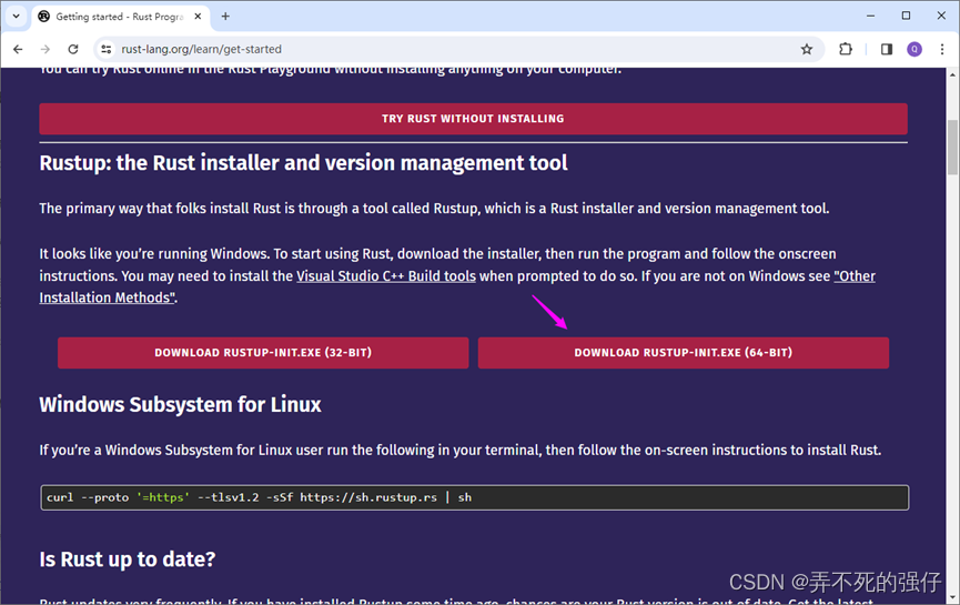 windows安装rust后，【rustc不是内部或外部命令，也不是可运行的程序】问题解决_rustup' 不是内部或外部命令,也不是可运行的程序 或批处理文件。-CSDN博客
