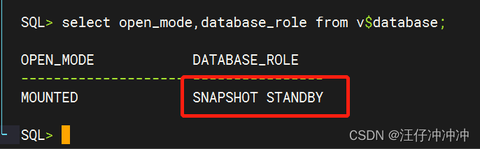 oracle Snapshot standby database（snapshot打开备库）_oracle 打开备库-CSDN博客